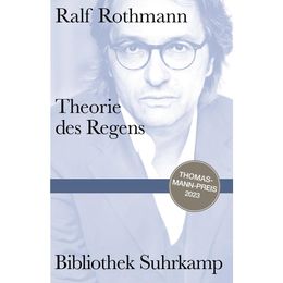 Theorie des Regens