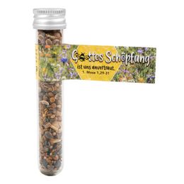 Samen Bienenbuffet Gottes Sch&ouml;pfung