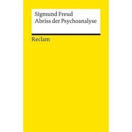 Abriss der Psychoanalyse