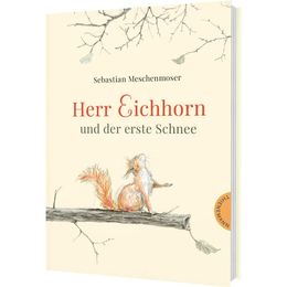 Herr Eichhorn und der erste Schnee