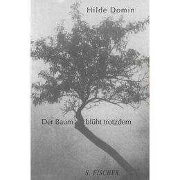 Der Baum bl&uuml;ht trotzdem