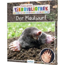 Esslinger Meine gro&szlig;e Tierbibliothek: Der Maulwurf
