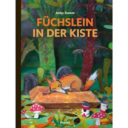 F&uuml;chslein in der Kiste