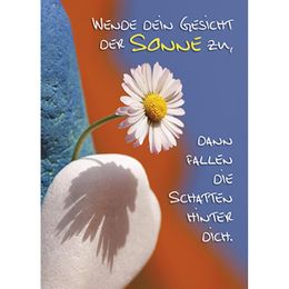 Wende dein Gesicht der Sonne zu