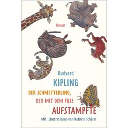 Der Schmetterling, der mit dem Fu&szlig; aufstampfte
