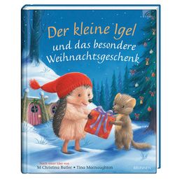 Der kleine Igel und das besondere Weihnachtsgeschenk