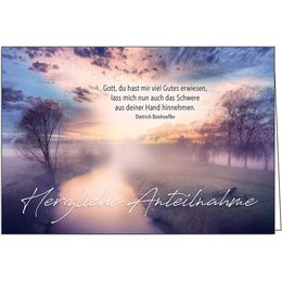Gott, du hast mir viel Gutes