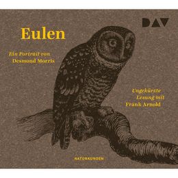 Eulen. Ein Portrait