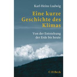 Eine kurze Geschichte des Klimas