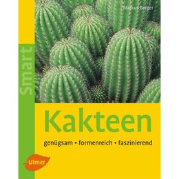 Kakteen