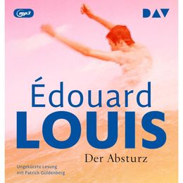 Der Absturz