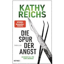 Die Spur der Angst