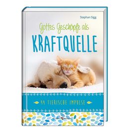 Gottes Gesch&ouml;pfe als Kraftquelle