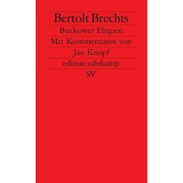 Brechts Bukower Elegien