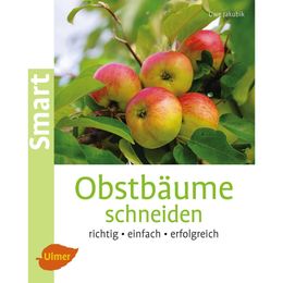 Obstb&auml;ume schneiden