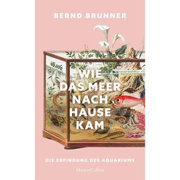 Wie das Meer nach Hause kam. Die Erfindung des Aquariums