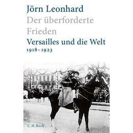 Der &uuml;berforderte Frieden