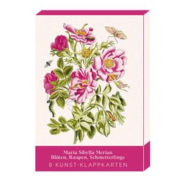 8er-Set Kunst-Klappkarten &raquo;Maria Sibylla Merian&laquo;