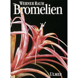 Bromelien