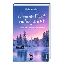 Wenn die Nacht am l&auml;ngsten ist