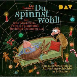Du spinnst wohl! Eine au&szlig;ergew&ouml;hnliche Adventsgeschichte in 24 Kapiteln