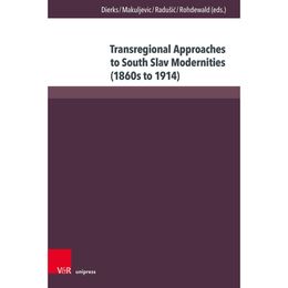 Transregional Approaches to South Slav Modernities (1860s to 1914)