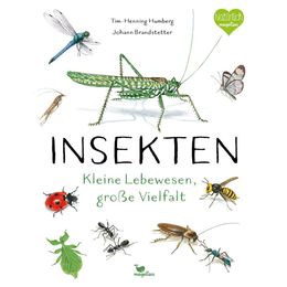 Insekten - Kleine Lebewesen, gro&szlig;e Vielfalt