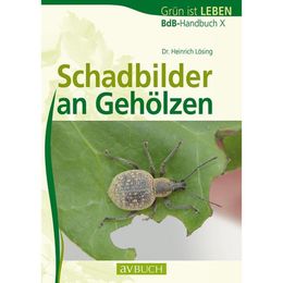 Schadbilder an Geh&ouml;lzen