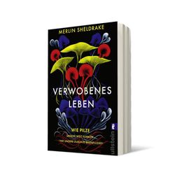 Ullstein Taschenbuchvlg. Verwobenes Leben
