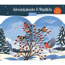 Windlicht-Adventskalender Winterzauber