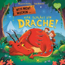 Bitte nicht wecken ... Hier schl&auml;ft ein Drache!