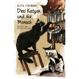 Drei Katzen und ihr Mensch