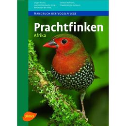 Prachtfinken Afrika