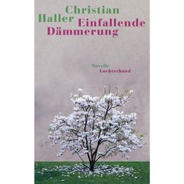 Einfallende D&auml;mmerung