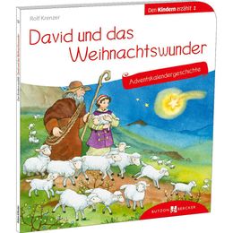 David und das Weihnachtswunder. Adventskalendergeschichte (1 St&uuml;ck)