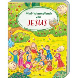 Mini-Wimmelbuch von Jesus