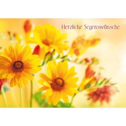 Gl&uuml;ckwunschkarte zum Geburtstag - Herzliche Segensw&uuml;nsche (6 St&uuml;ck)