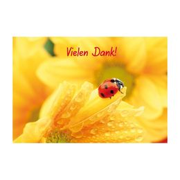 Dankeskarte - Vielen Dank (6 St&uuml;ck)