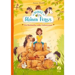 Die Schule der kleinen Ponys - Ein Heuhaufen voller Geheimnisse