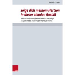 zeige dich meinem Hertzen in dieser elenden Gestalt