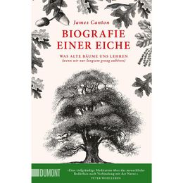 Biografie einer Eiche