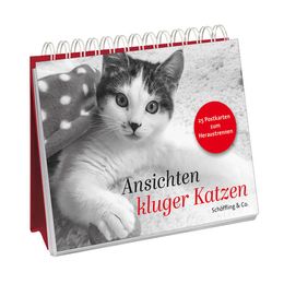Ansichten kluger Katzen