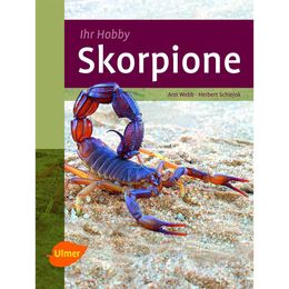 Skorpione