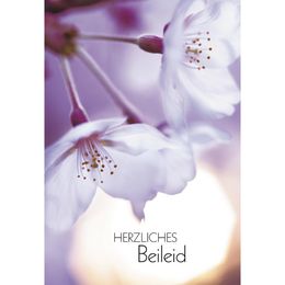 Trauerkarte Herzliches Beileid (6 St&uuml;ck)