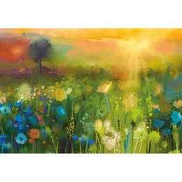 Gru&szlig;karte - Blumenwiese (6 St&uuml;ck)