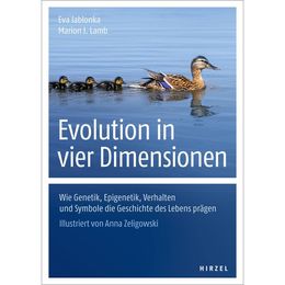 Evolution in vier Dimensionen