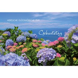 Geburtstagskarte - Herzliche Gl&uuml;ckw&uuml;nsche zum Geburtstag (6 St&uuml;ck)
