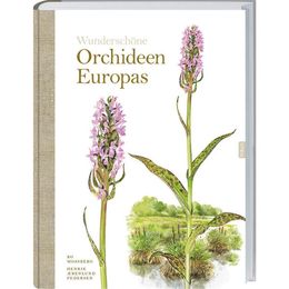 Wundersch&ouml;ne Orchideen Europas