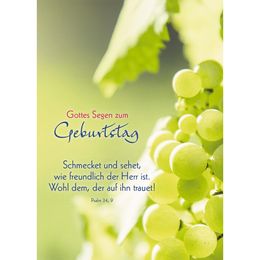 Postkarte Gottes Segen zum Geburtstag (10 St&uuml;ck)