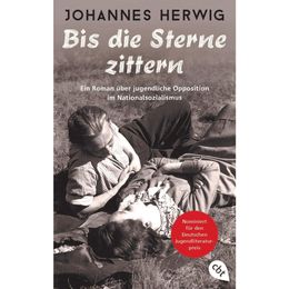 Bis die Sterne zittern